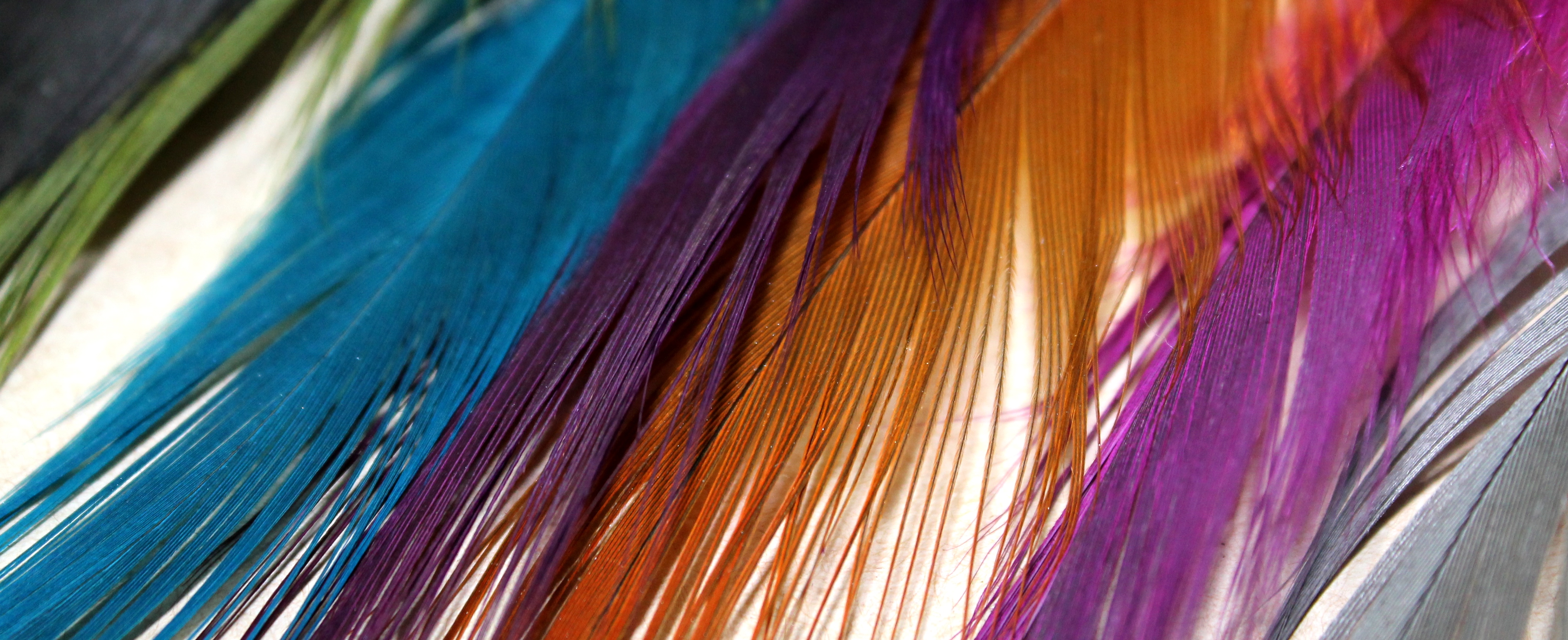 Fly tying - Grey Heron Feathers For Spey Flies