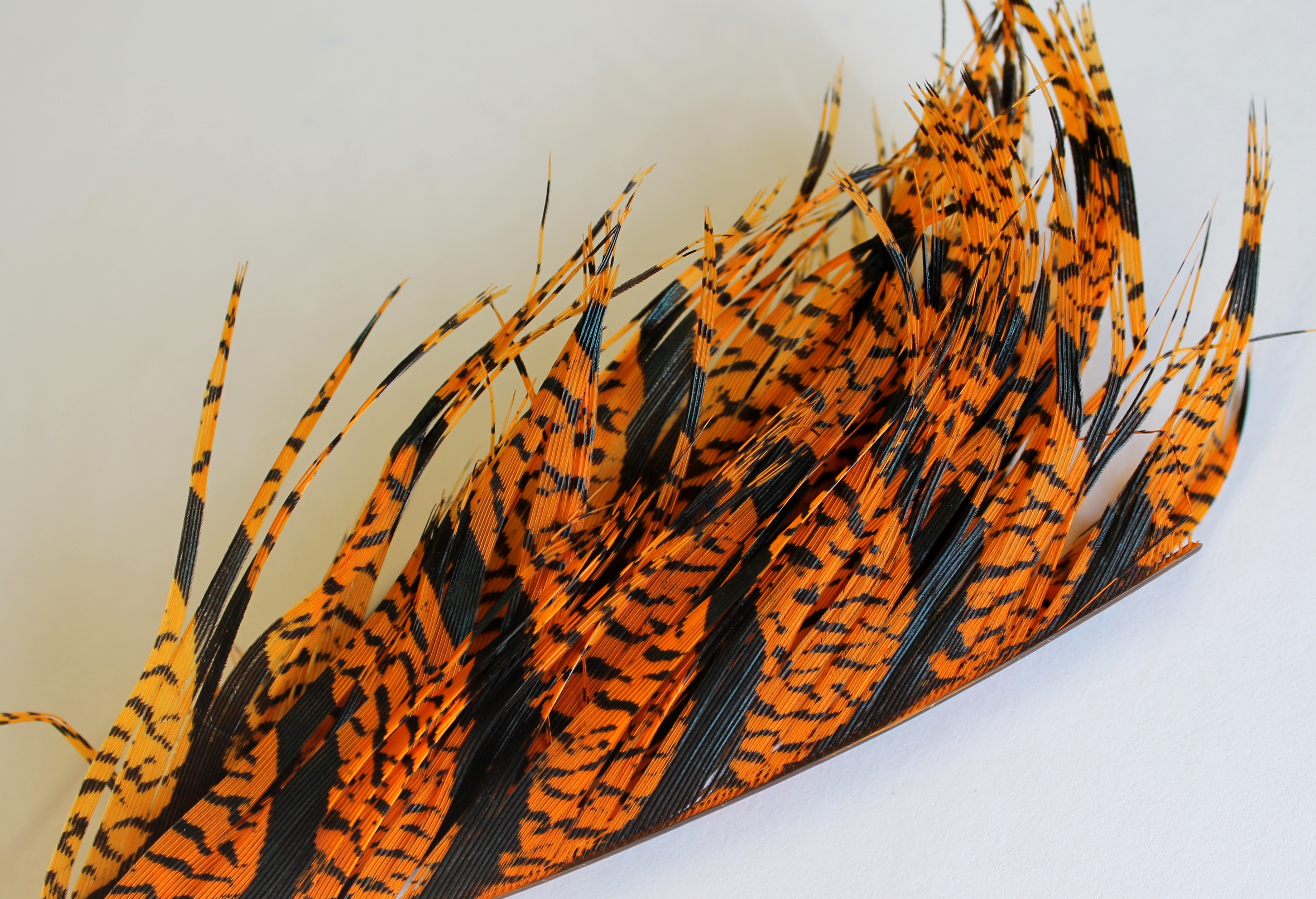 Lady Amherst Center Tail Sections for Tube Flies