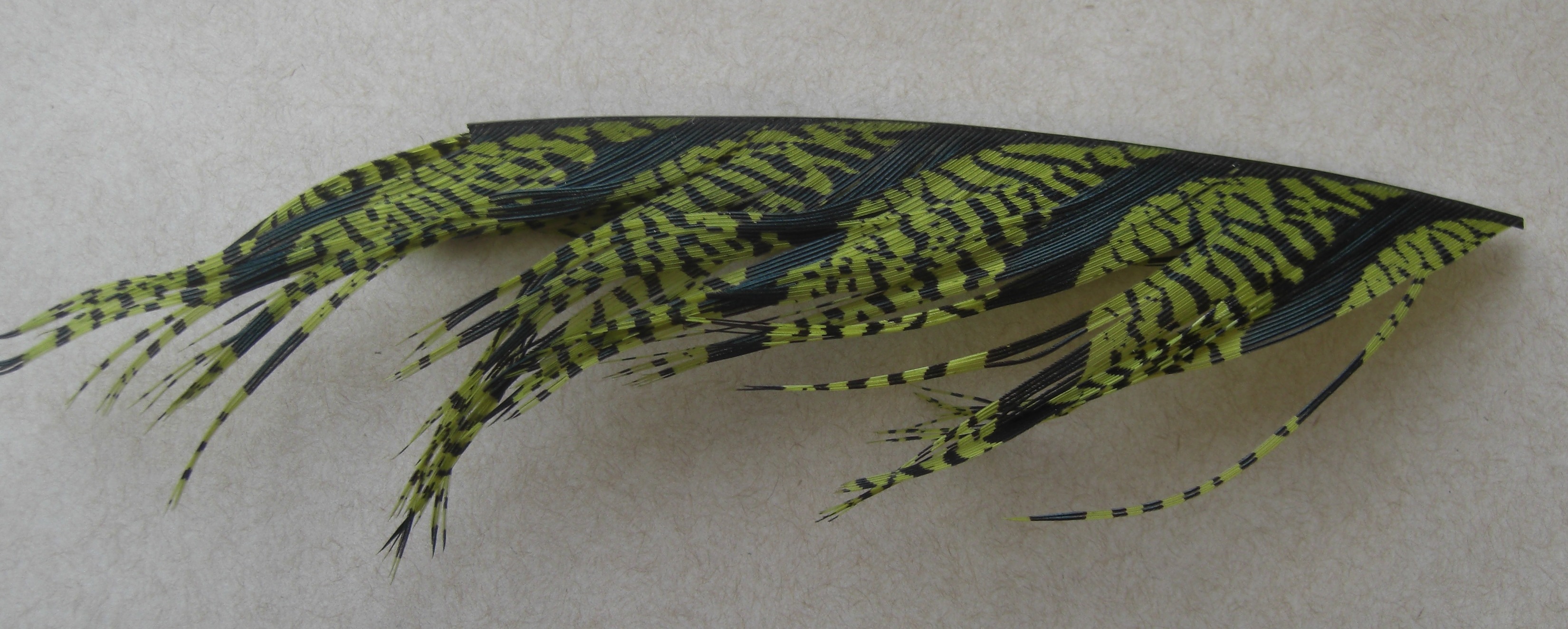 Lady Amherst Center Tail Sections for Tube Flies